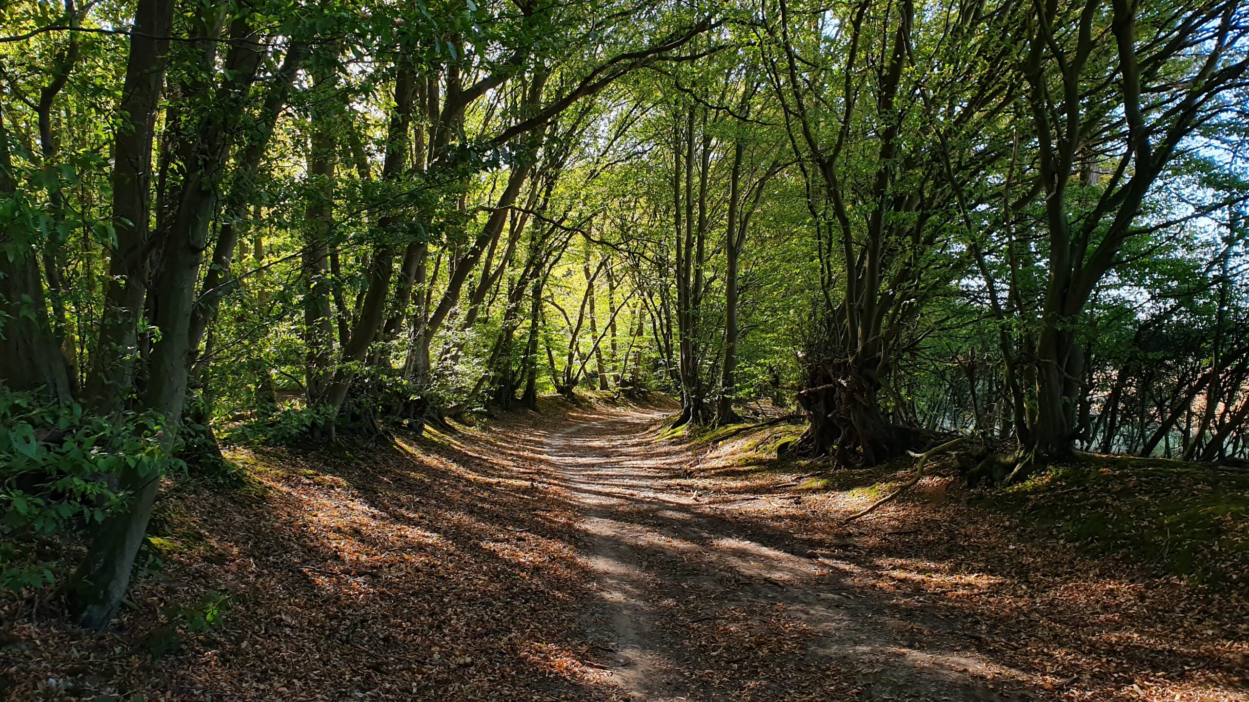 Find a Group Walk - Walk Notts